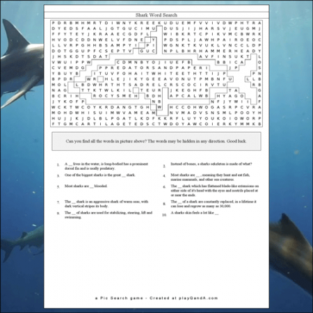 Shark Word Search | Play Q and A